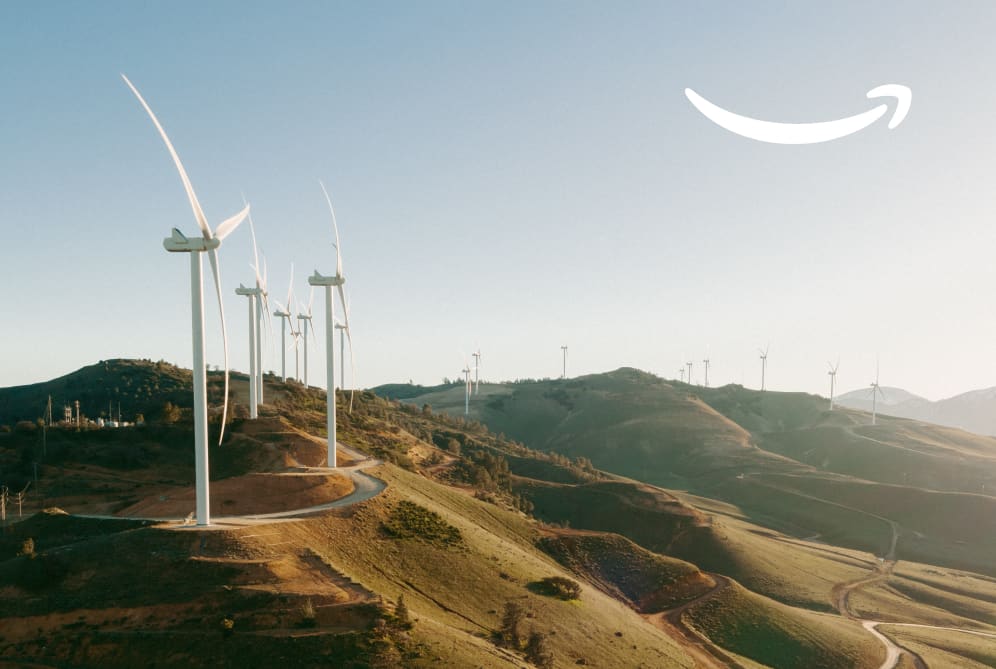 Amazon: Sustainability report - Sia Addison